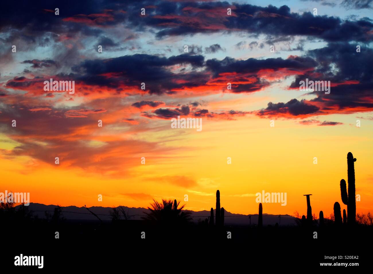 Beautiful Arizona Sunset Stock Photo - Alamy