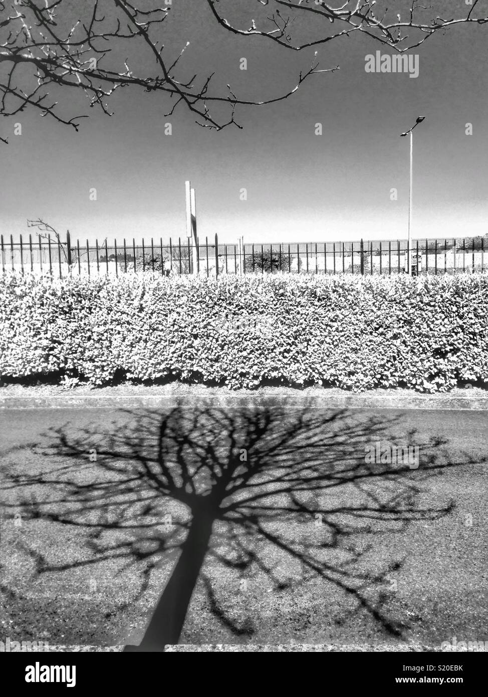 Shadow black and white hi-res stock photography and images - Alamy