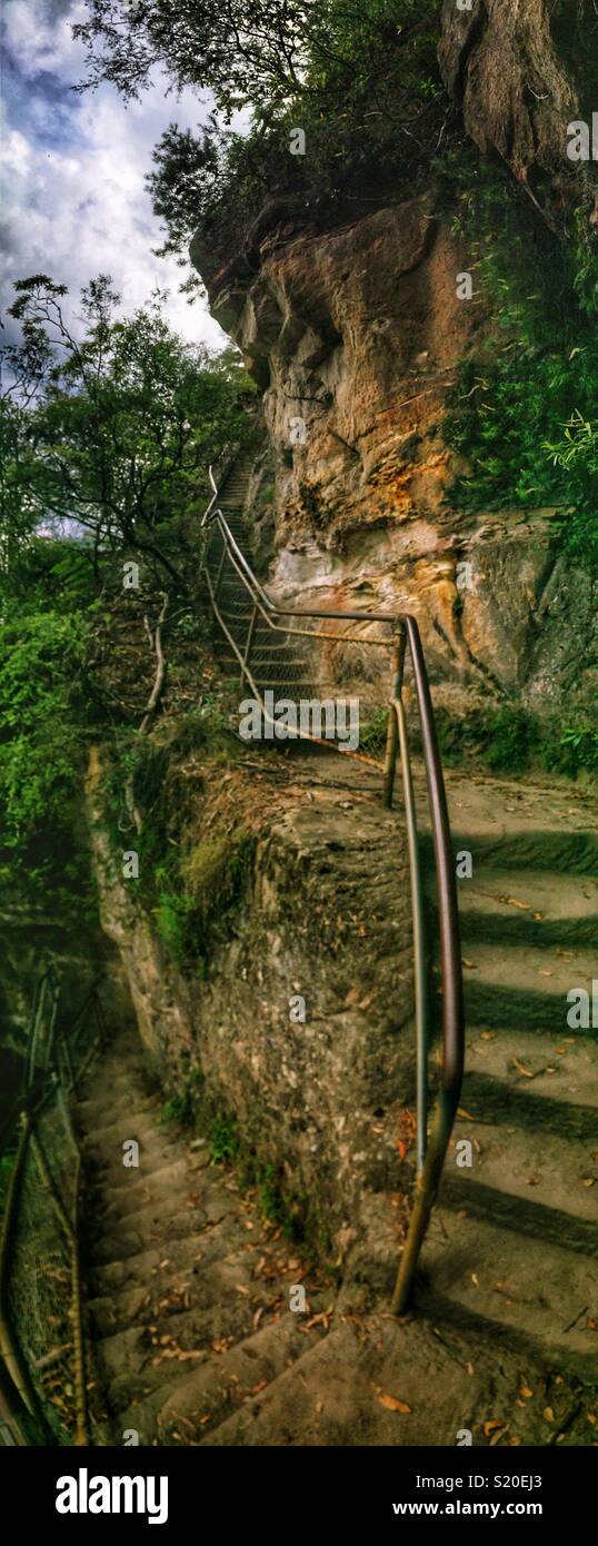 Furber Steps walking track, cut into the face of the sandstone cliff ...