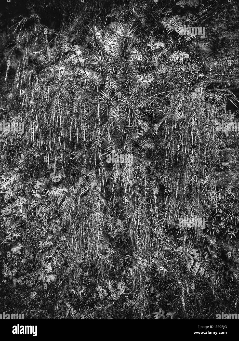 Under The Overhang High Resolution Stock Photography and Images - Alamy