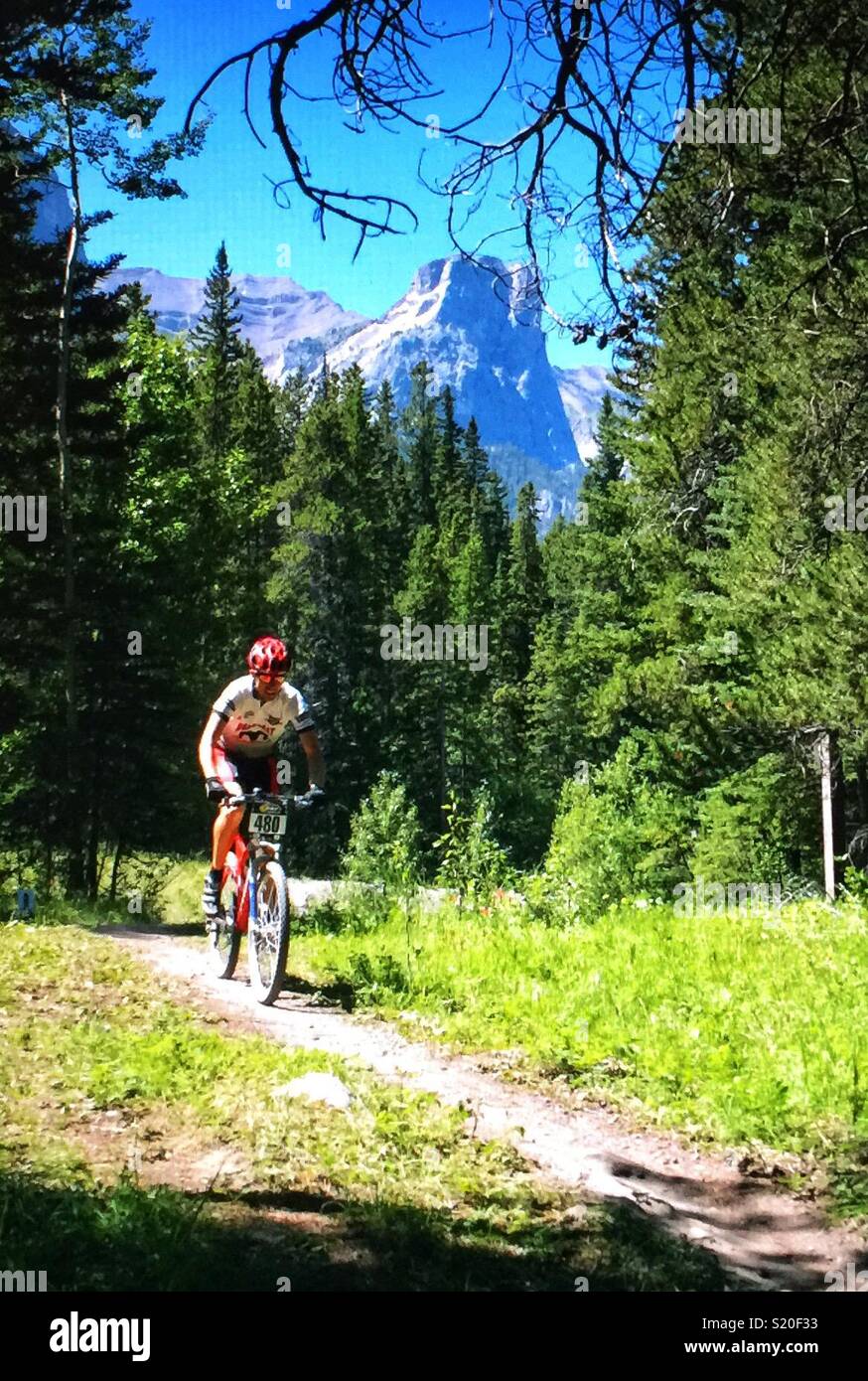 Mountain trail bicycle racing Stock Photo - Alamy