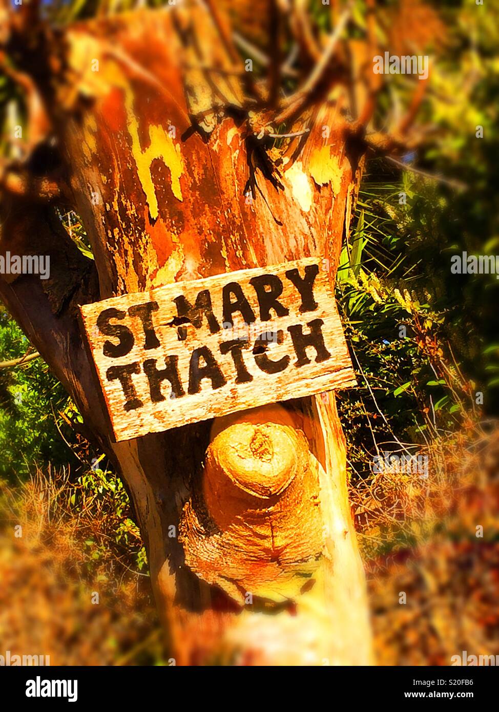 St Mary Thatch Wooden House Name Sign Stock Photo Alamy st-mary-thatch-wooden-house-name-sign-stock-photo-alamy