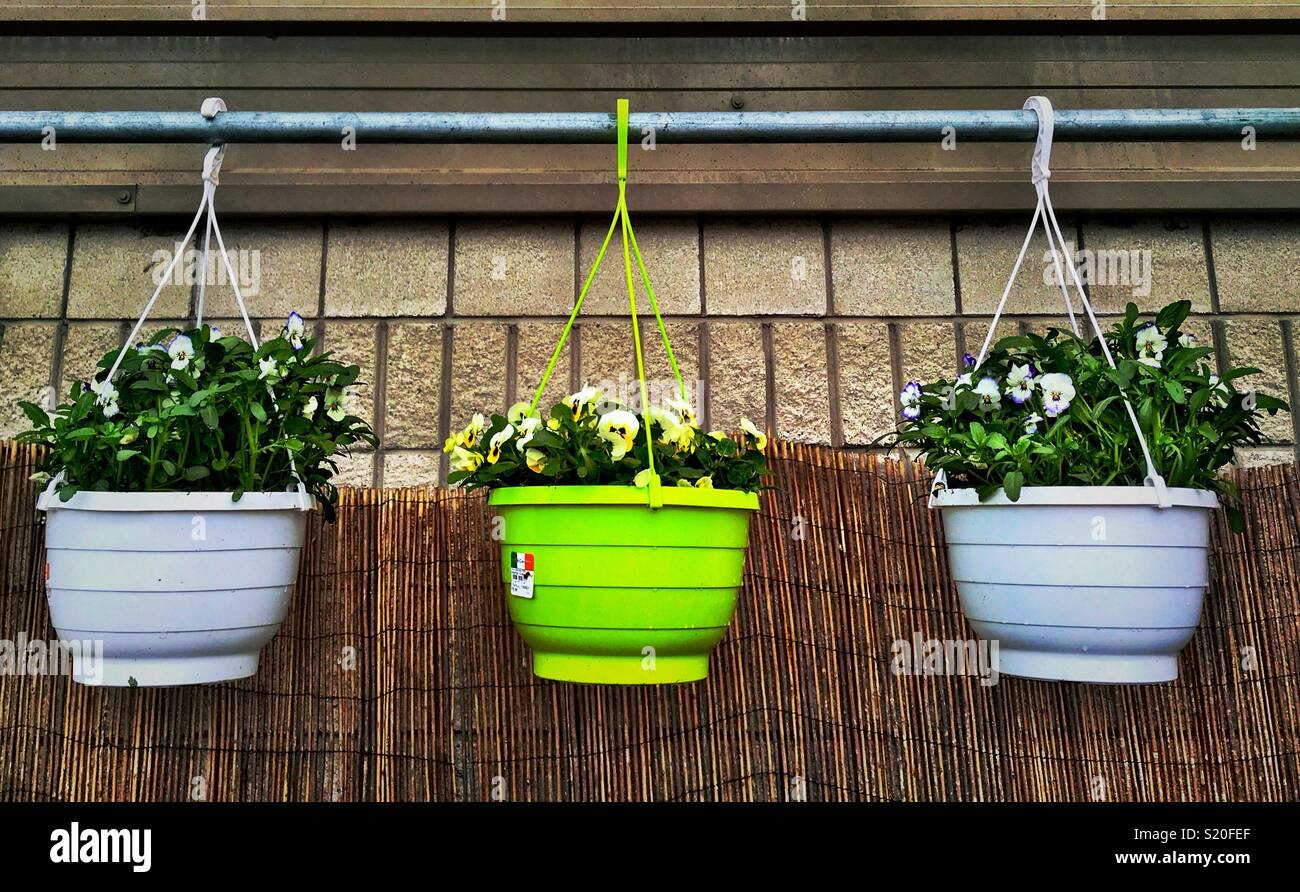 Hanging baskets hi-res stock photography and images - Alamy