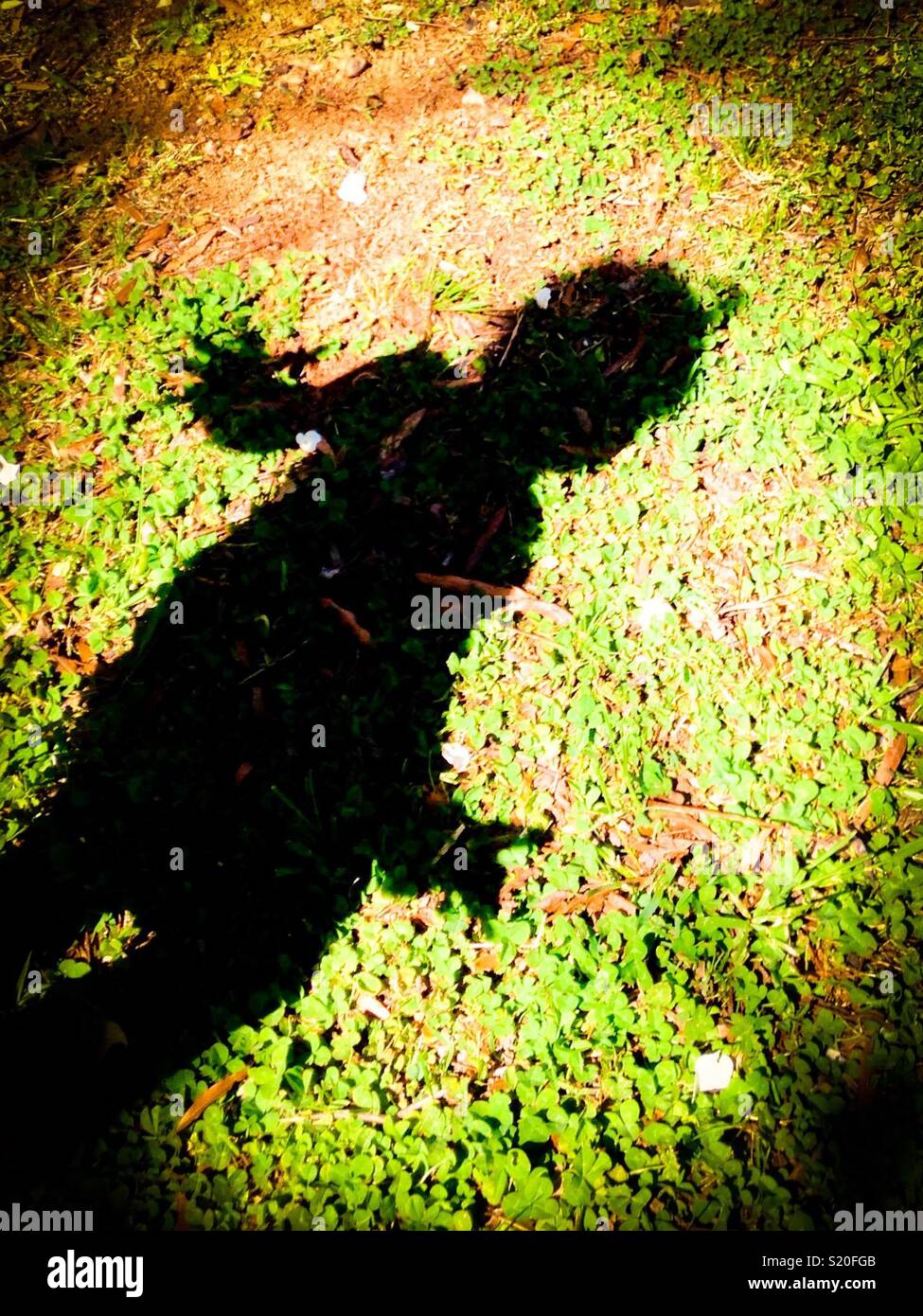 Spring photo of running toddler's shadow Stock Photo - Alamy