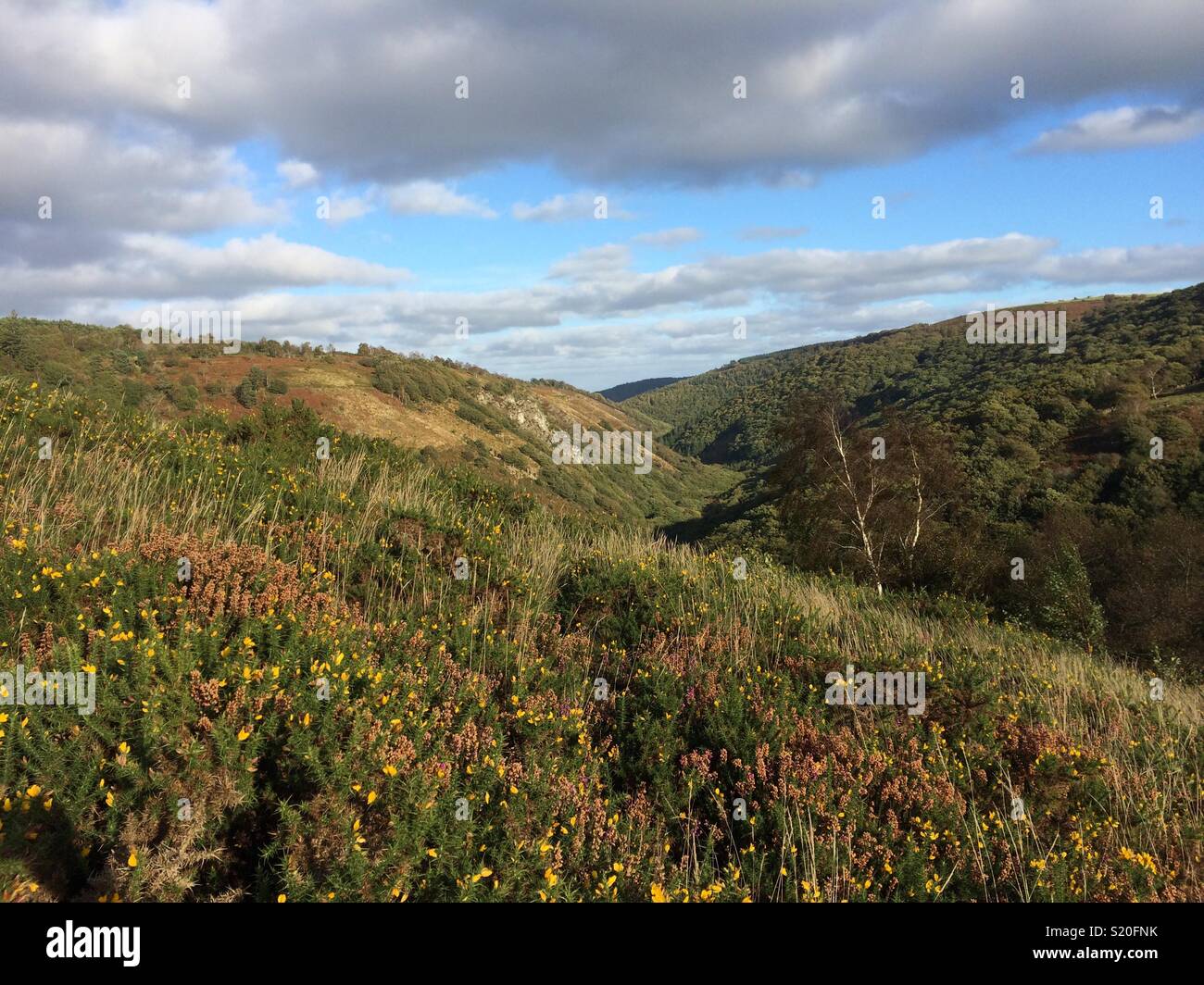 Open upland hi-res stock photography and images - Alamy