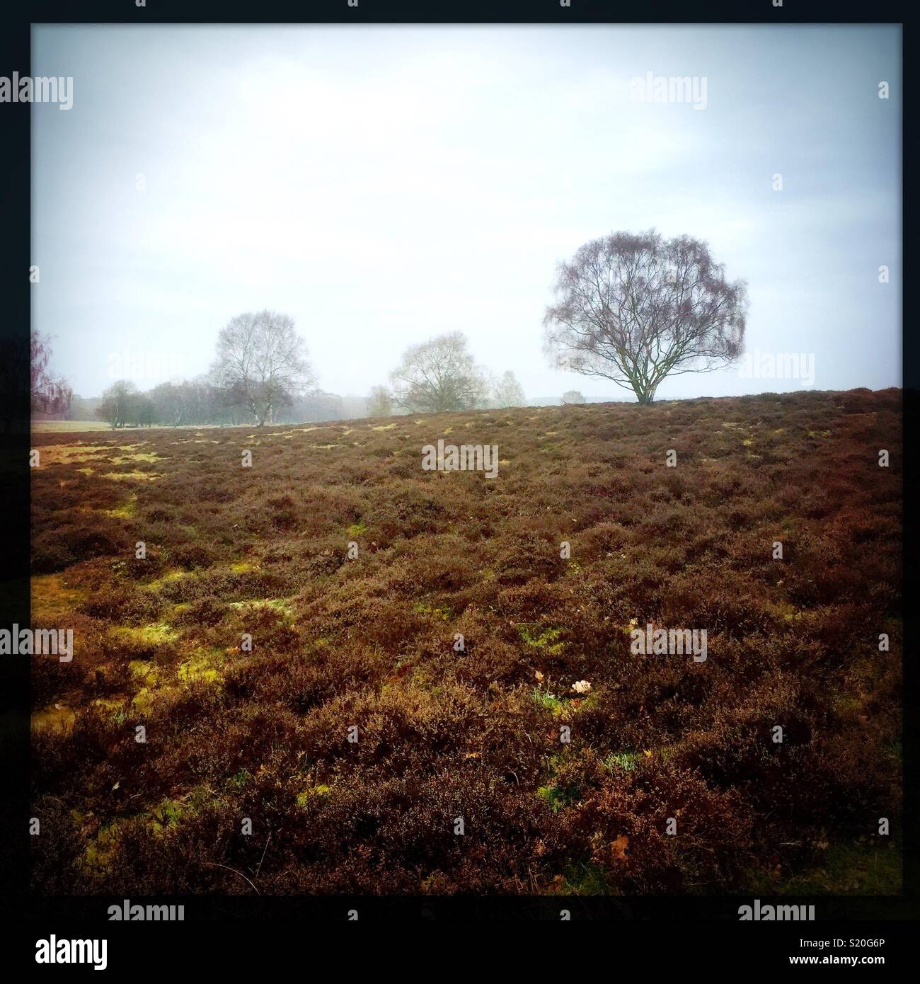 Cavenham High Resolution Stock Photography and Images - Alamy