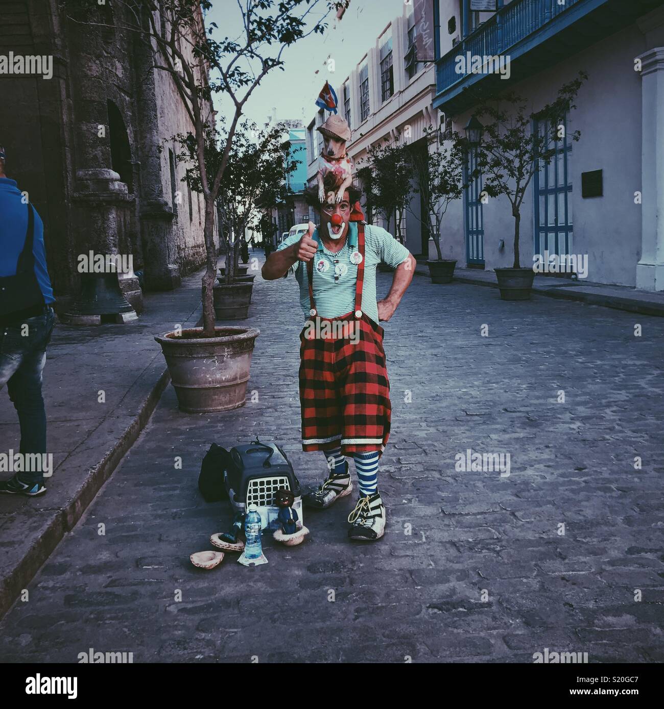 Havana Cuba, Street Clown Stock Photo - Alamy