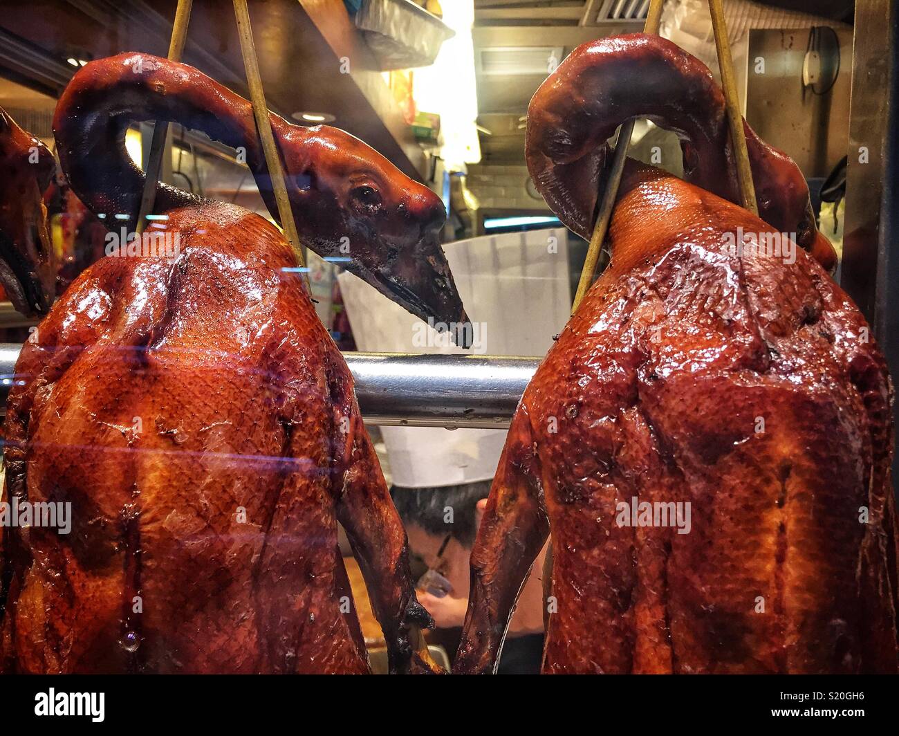 Hong kong goose hi-res stock photography and images - Alamy