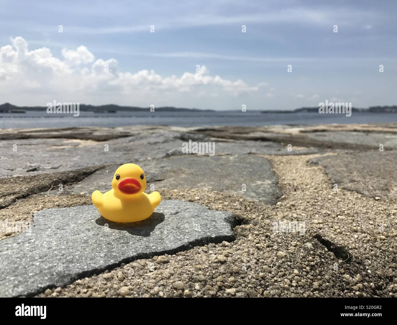 Happy duck hi-res stock photography and images - Alamy