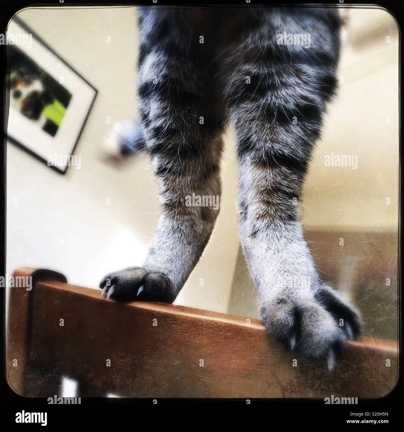 Balancing chair hi-res stock photography and images - Alamy