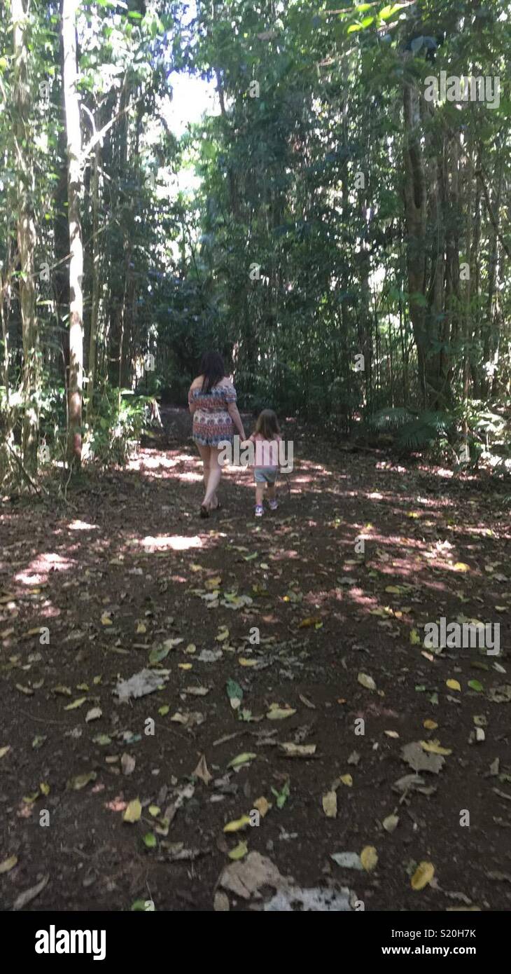 Exploring the rainforest Stock Photo - Alamy