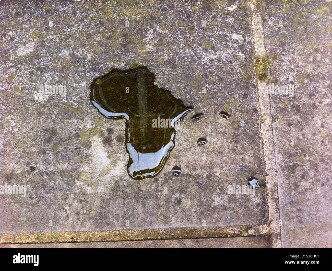 Poodle puddle on a pavement Stock Photo - Alamy