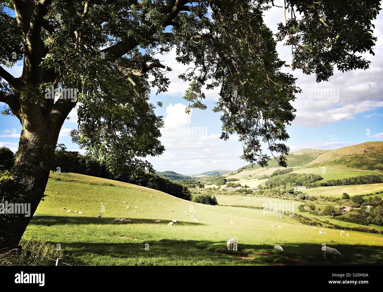 Rolling border hills hi-res stock photography and images - Alamy