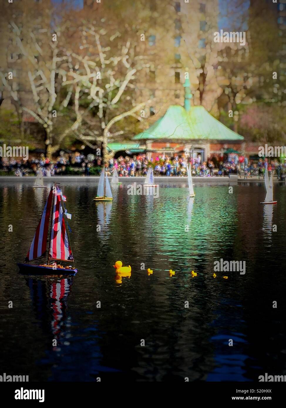Remote controlled sailboat toys and whimsical rubber ducky parade at ...