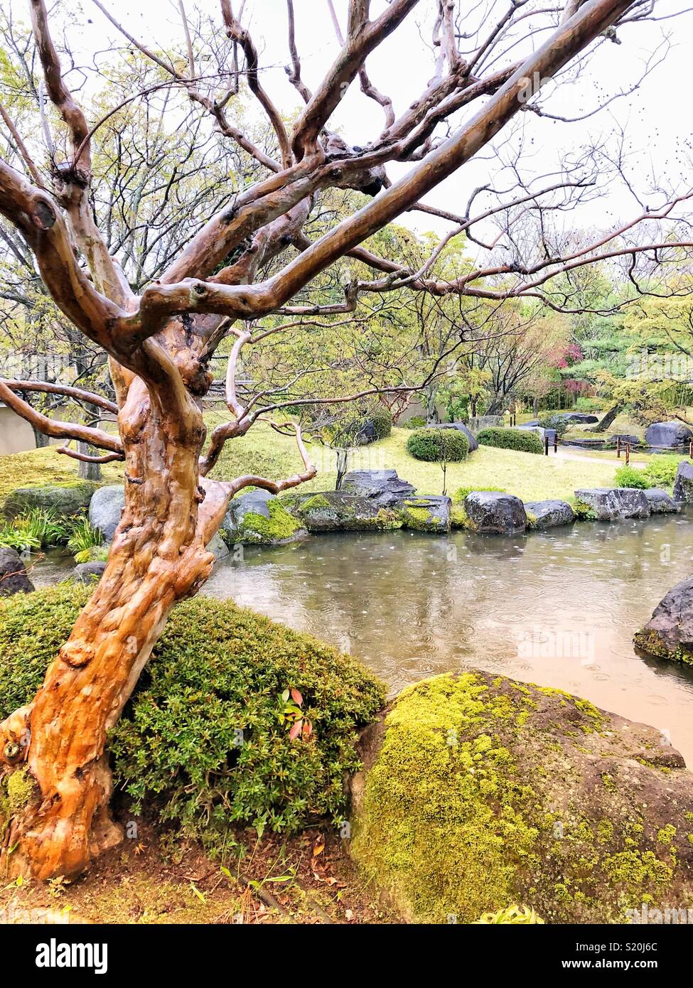 Rainy garden hi-res stock photography and images - Alamy