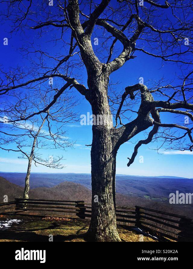Stand alone tree hi-res stock photography and images - Alamy