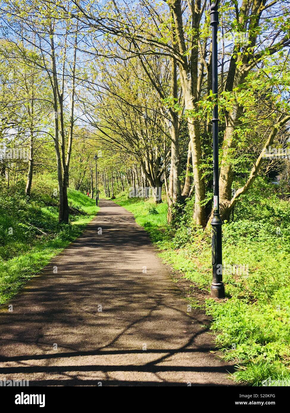 Spring time walk way Stock Photo - Alamy