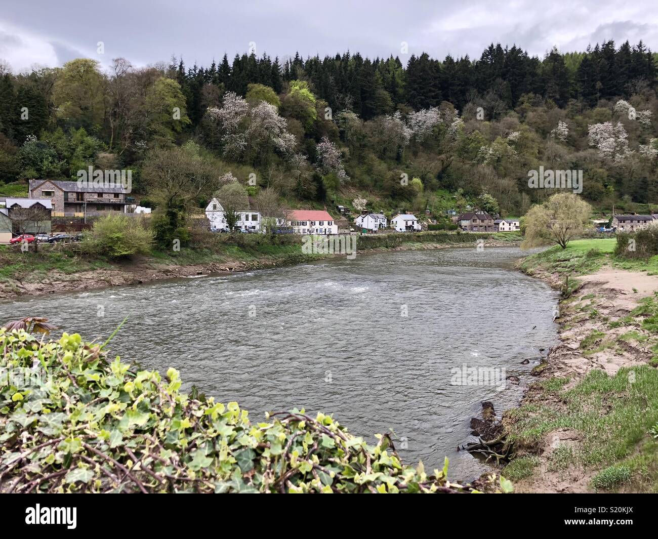 River Wye, flowing by the Tintern village Stock Photo - Alamy