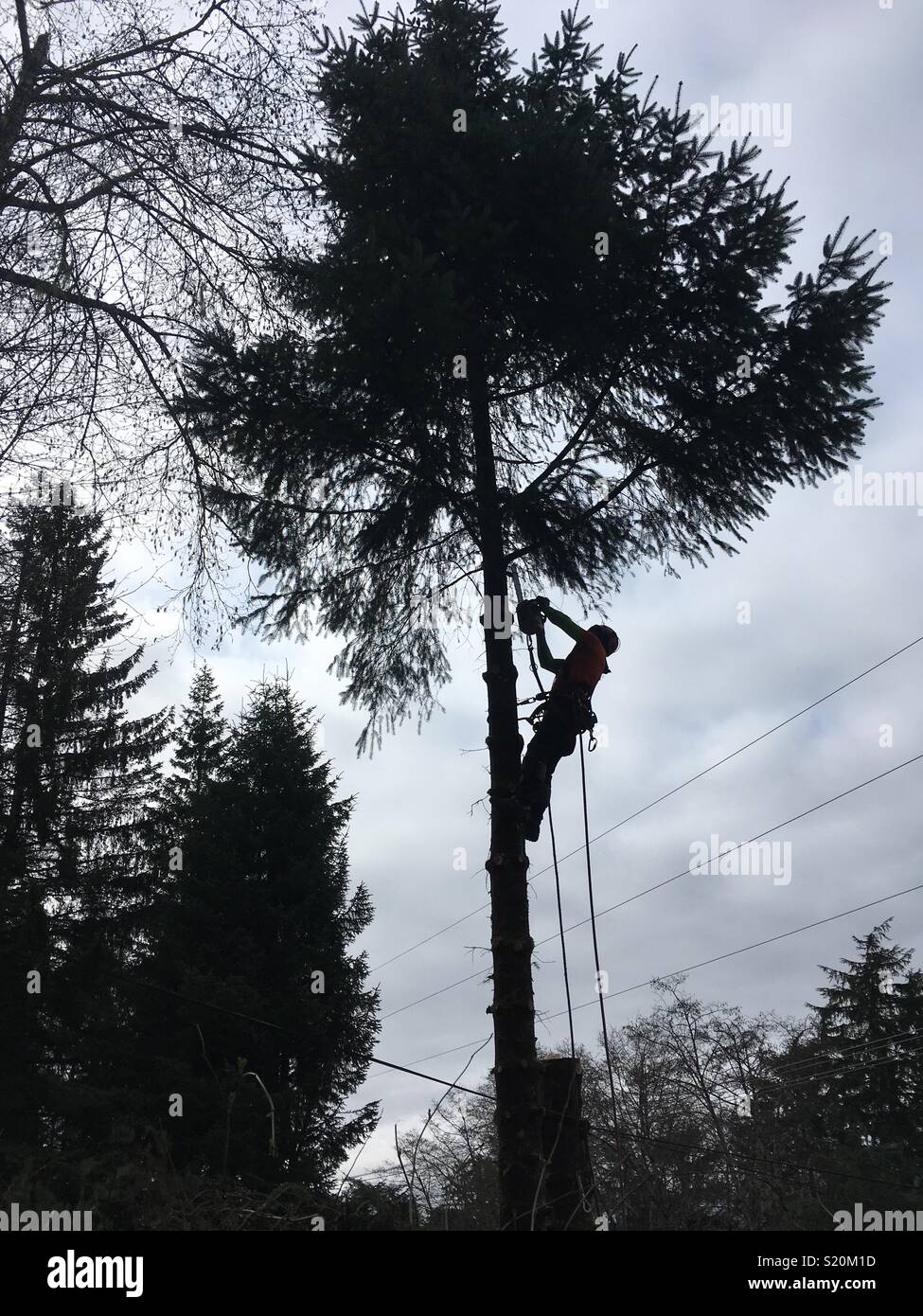 Logger hi-res stock photography and images - Alamy