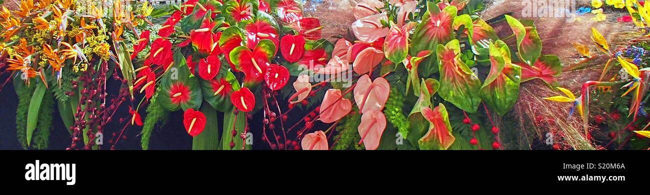 colorful flowers and red, green and yellow native plants on a decorated ...