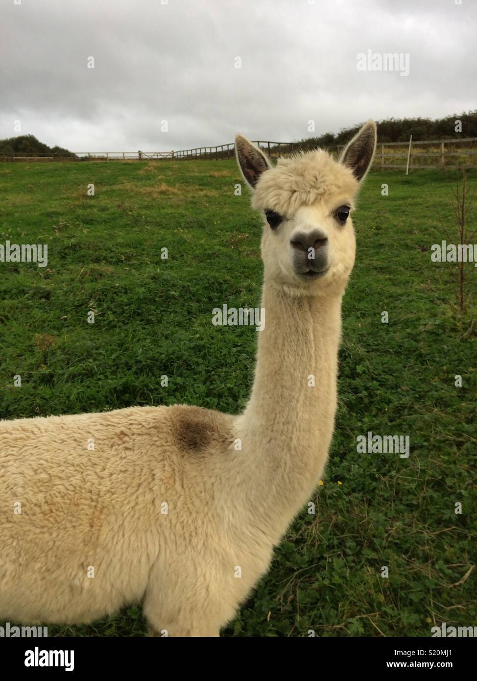 Hello nice hi-res stock photography and images - Alamy