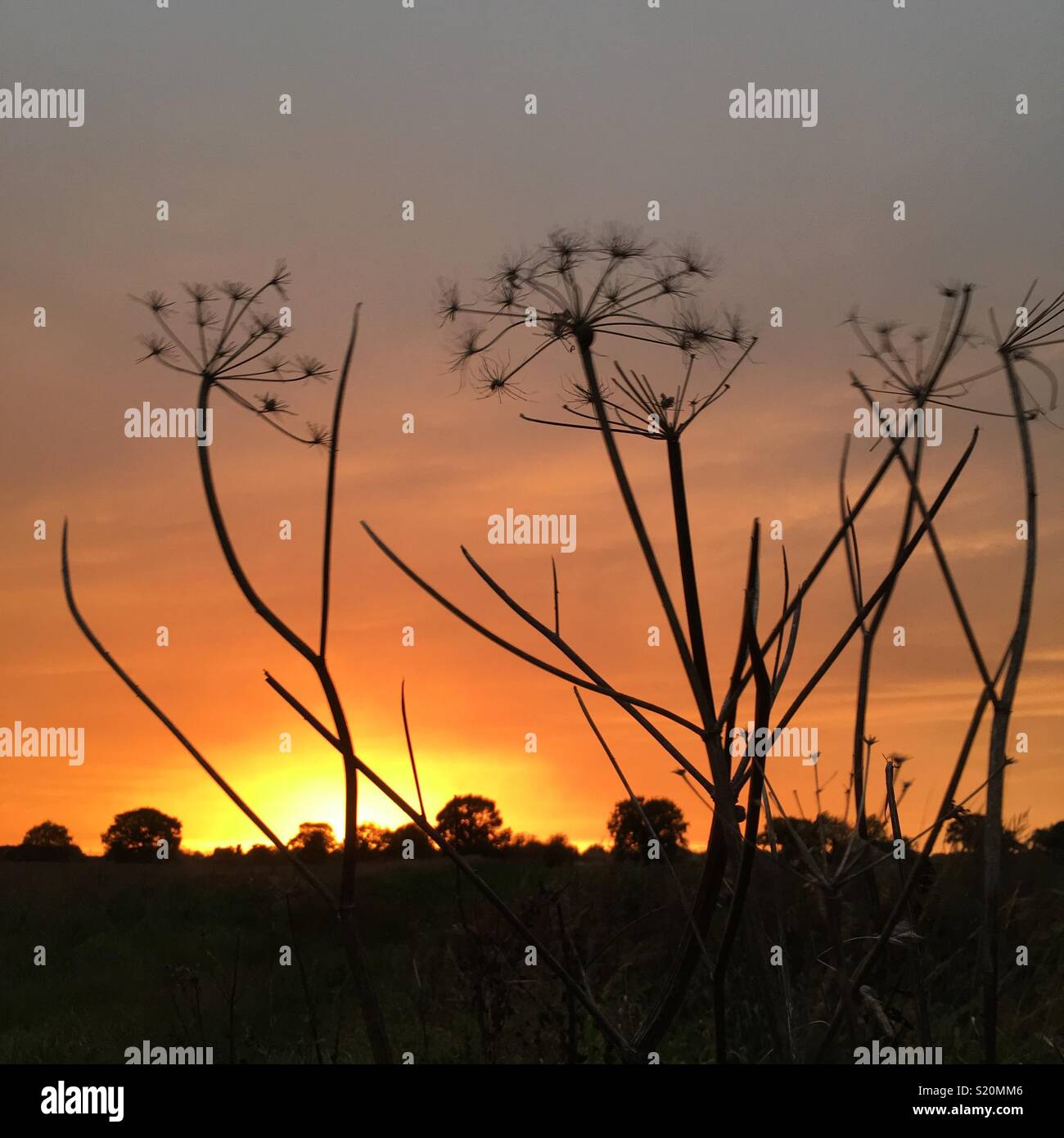 Sunset over agricultural land hi-res stock photography and images - Alamy