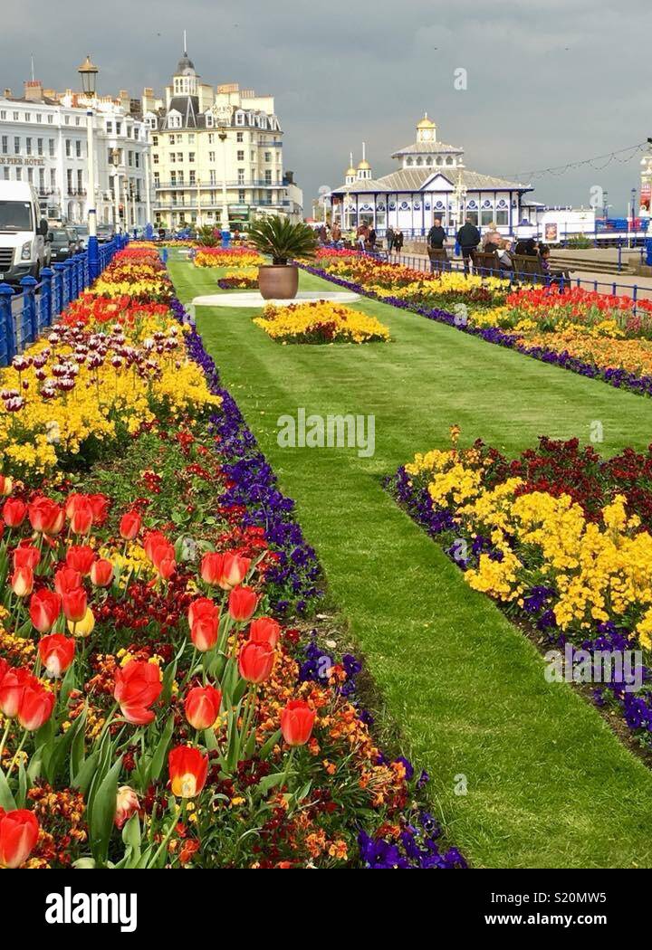 Carpet gardens eastbourne hi-res stock photography and images - Alamy
