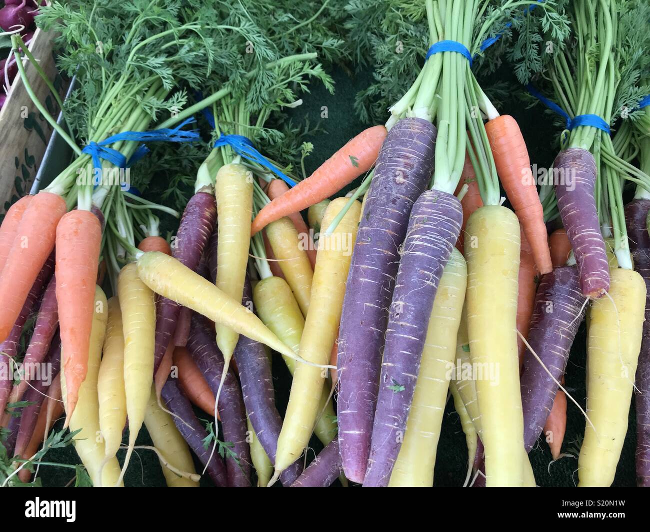 Vegetable colors hi-res stock photography and images - Alamy