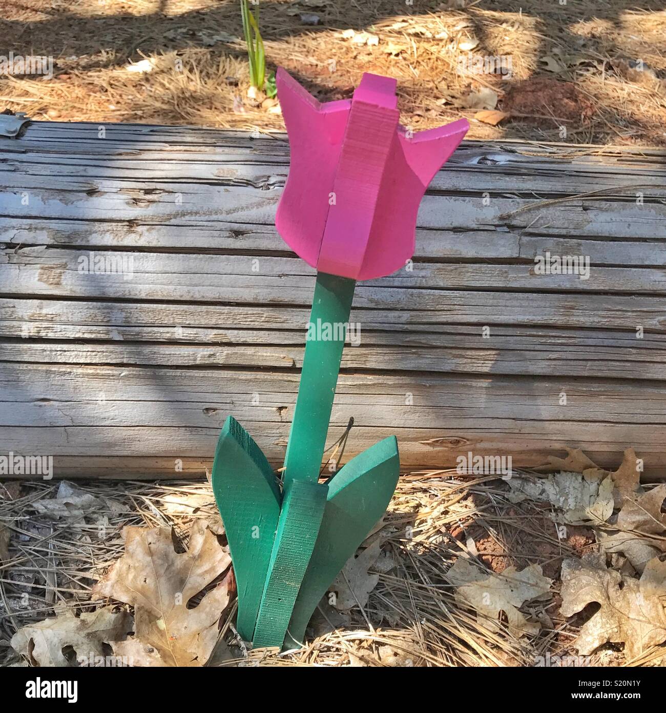 A pretty wooden tulip stands crookedly in front of a faded log in this ...