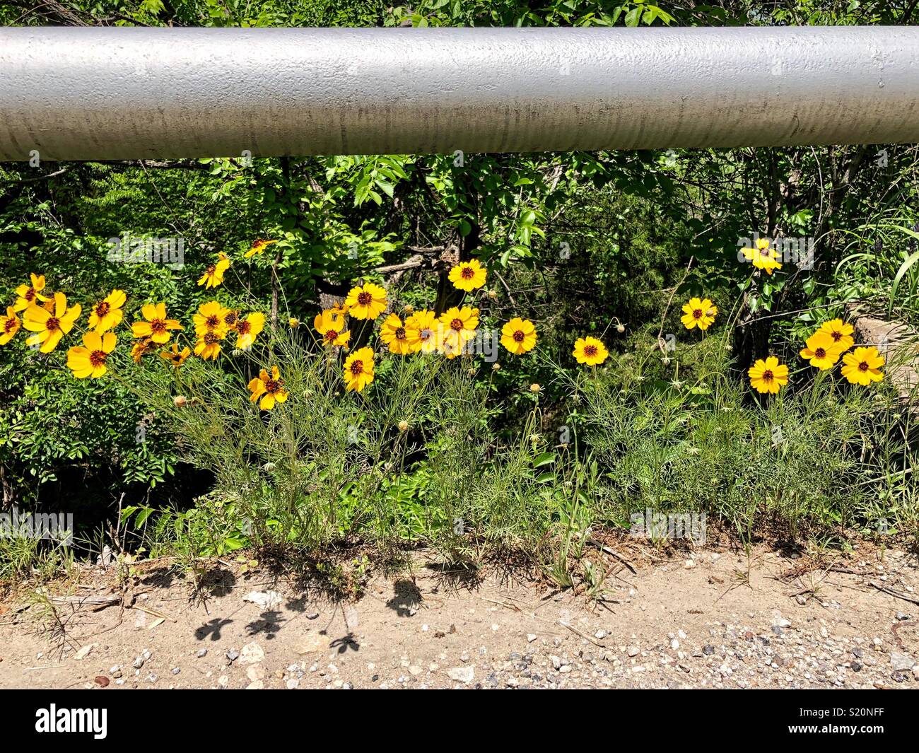 Edge bar hi-res stock photography and images - Alamy