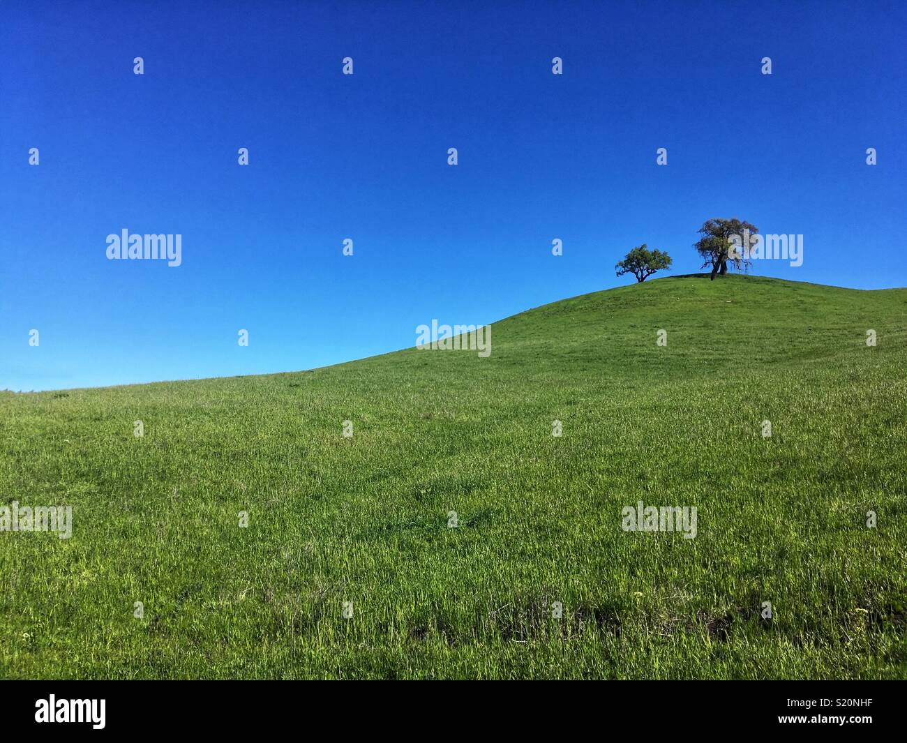 Carmel valley hi-res stock photography and images - Alamy