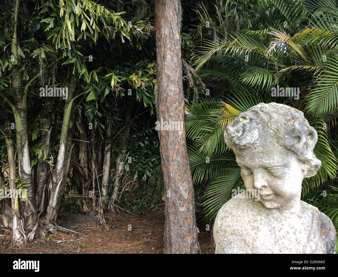 Ringling Museum- Sarasota, FL Stock Photo - Alamy