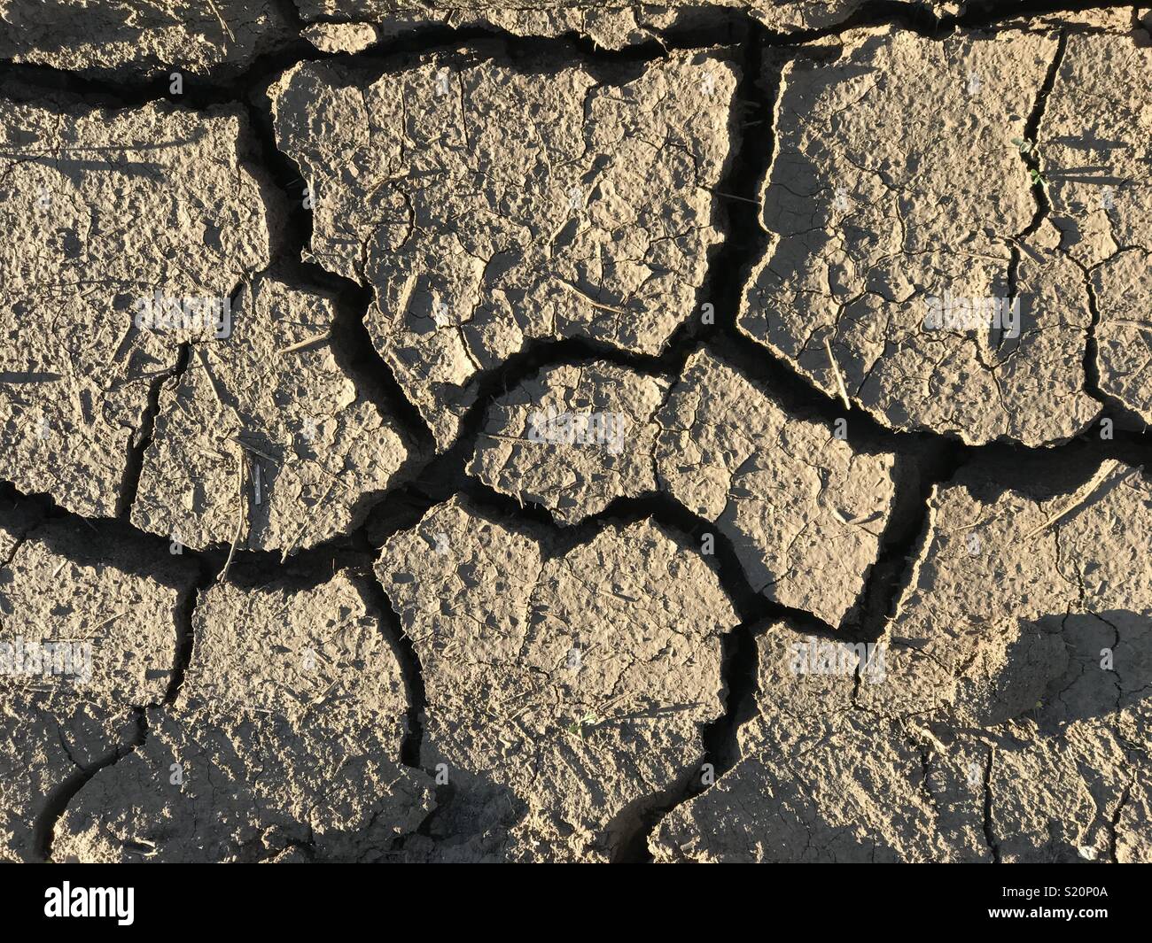 Ground texture hi-res stock photography and images - Alamy
