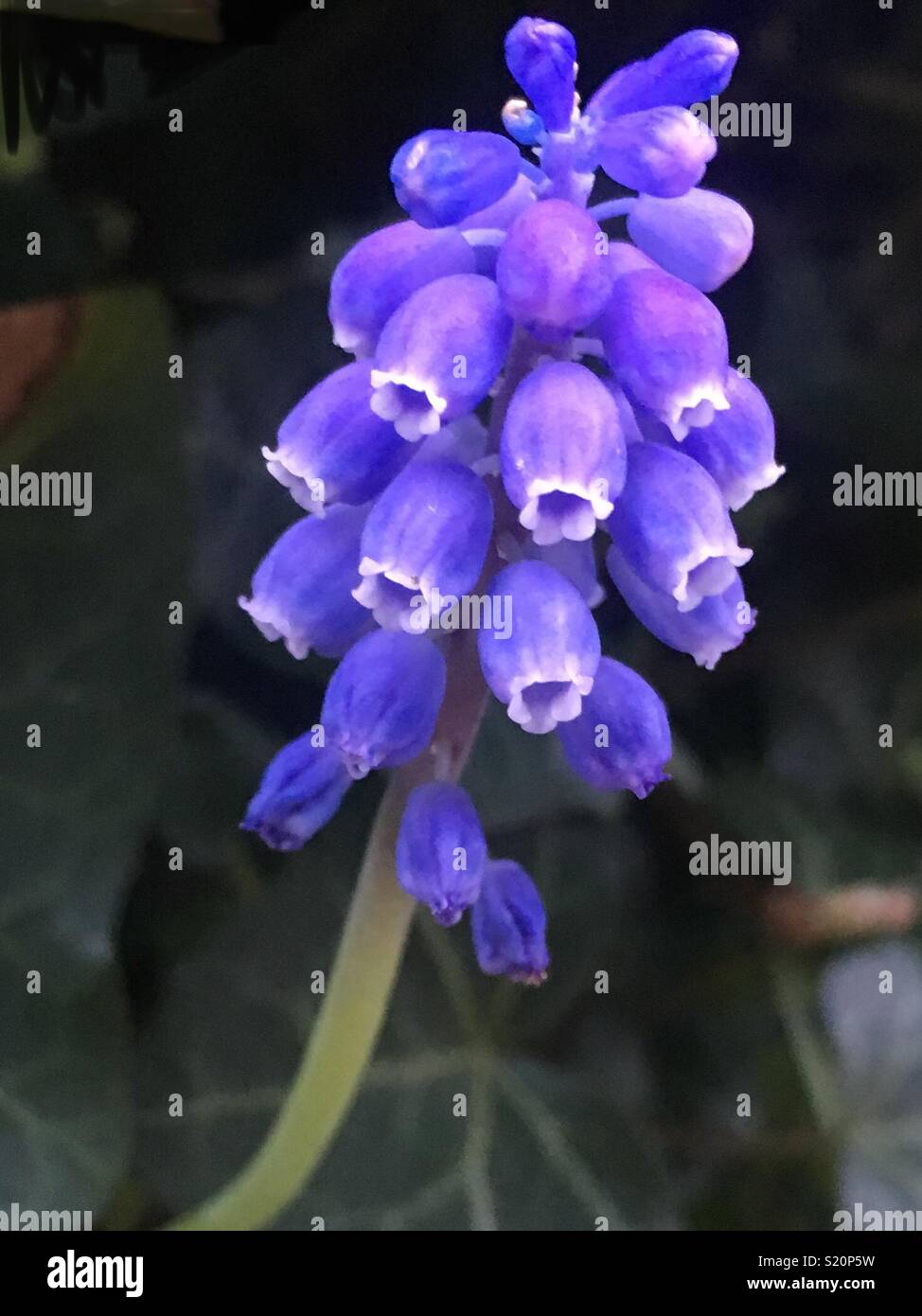 Spring in Denmark Stock Photo - Alamy