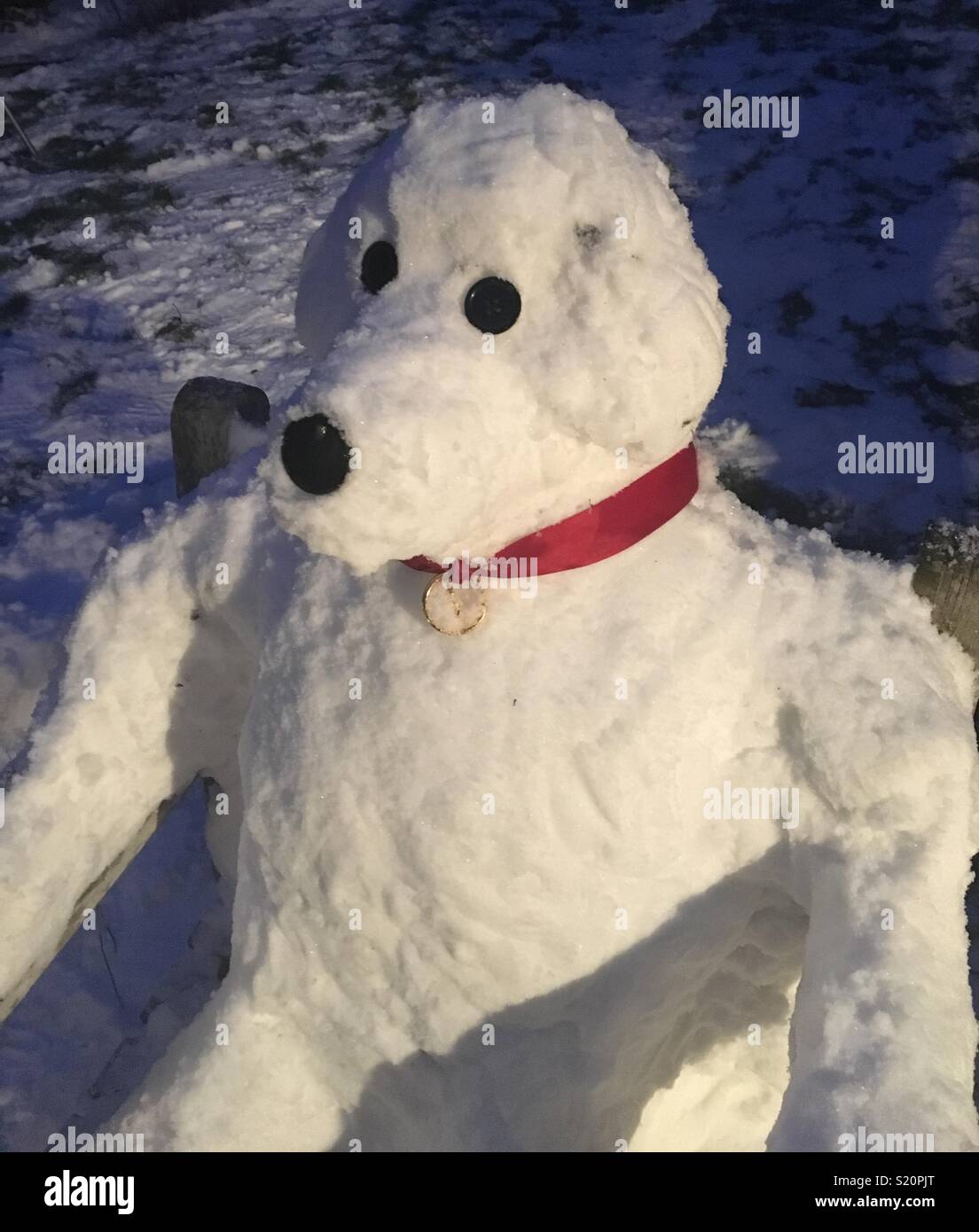 Snowman snow dog hi-res stock photography and images - Alamy