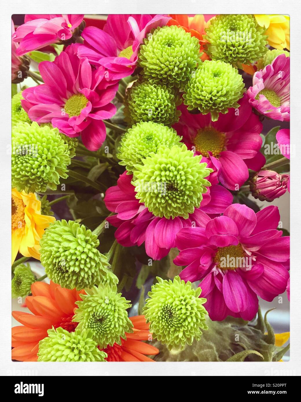 Happy colourful flowers hi-res stock photography and images - Alamy