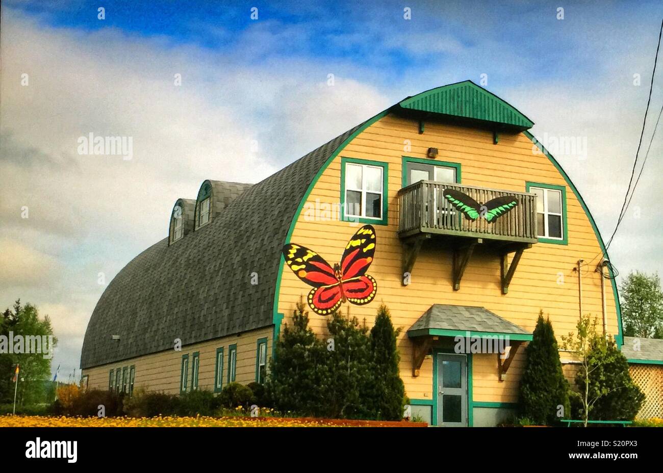 Insectarium hi-res stock photography and images - Alamy