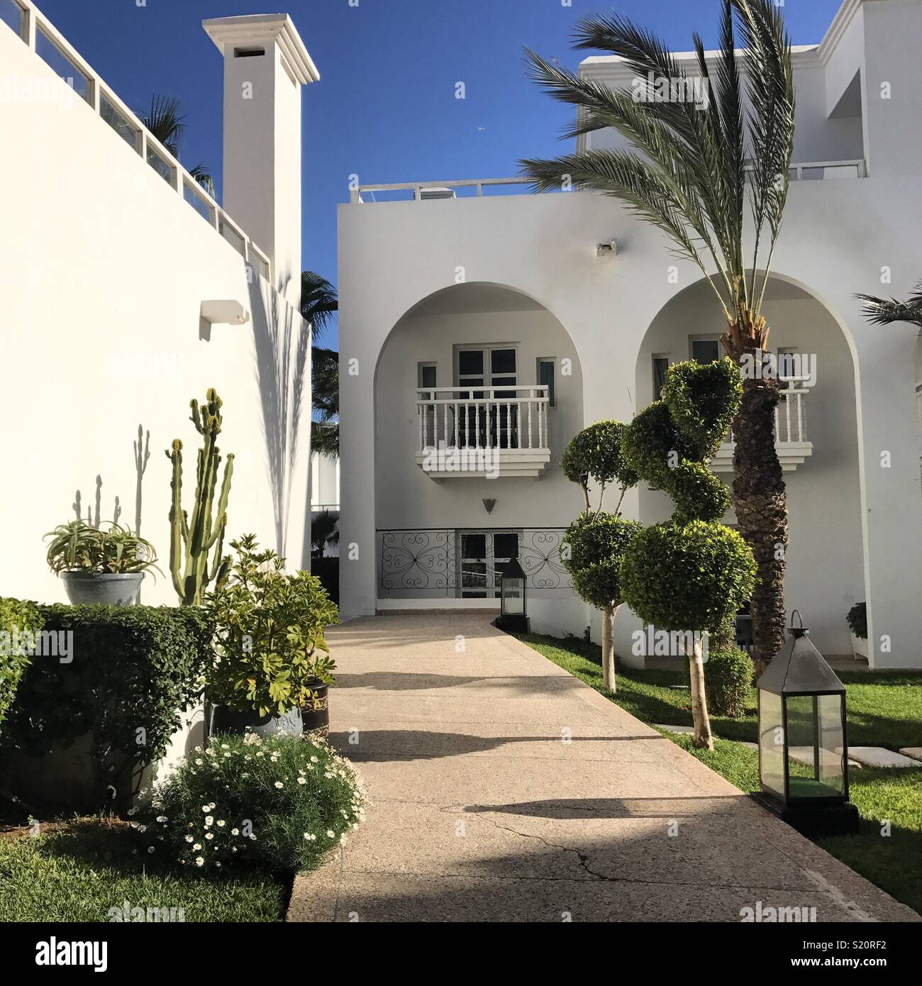 Palm tree entrance Stock Photo - Alamy