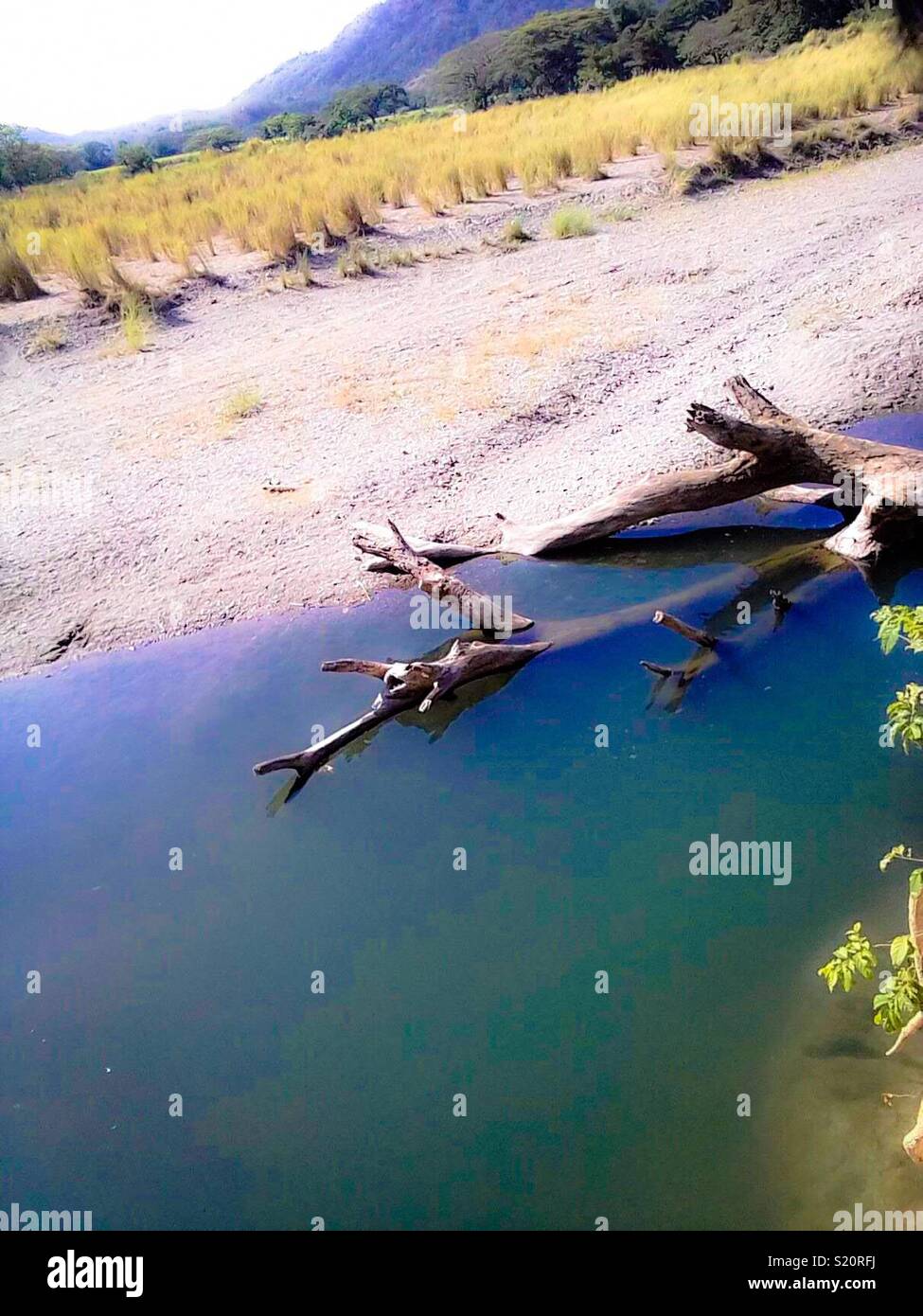 Mindoro River full of child memories Stock Photo - Alamy
