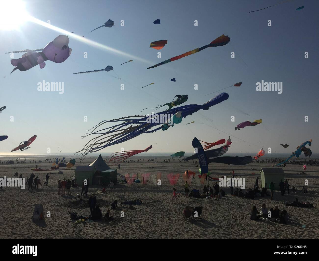 Cerf volant hi-res stock photography and images - Alamy