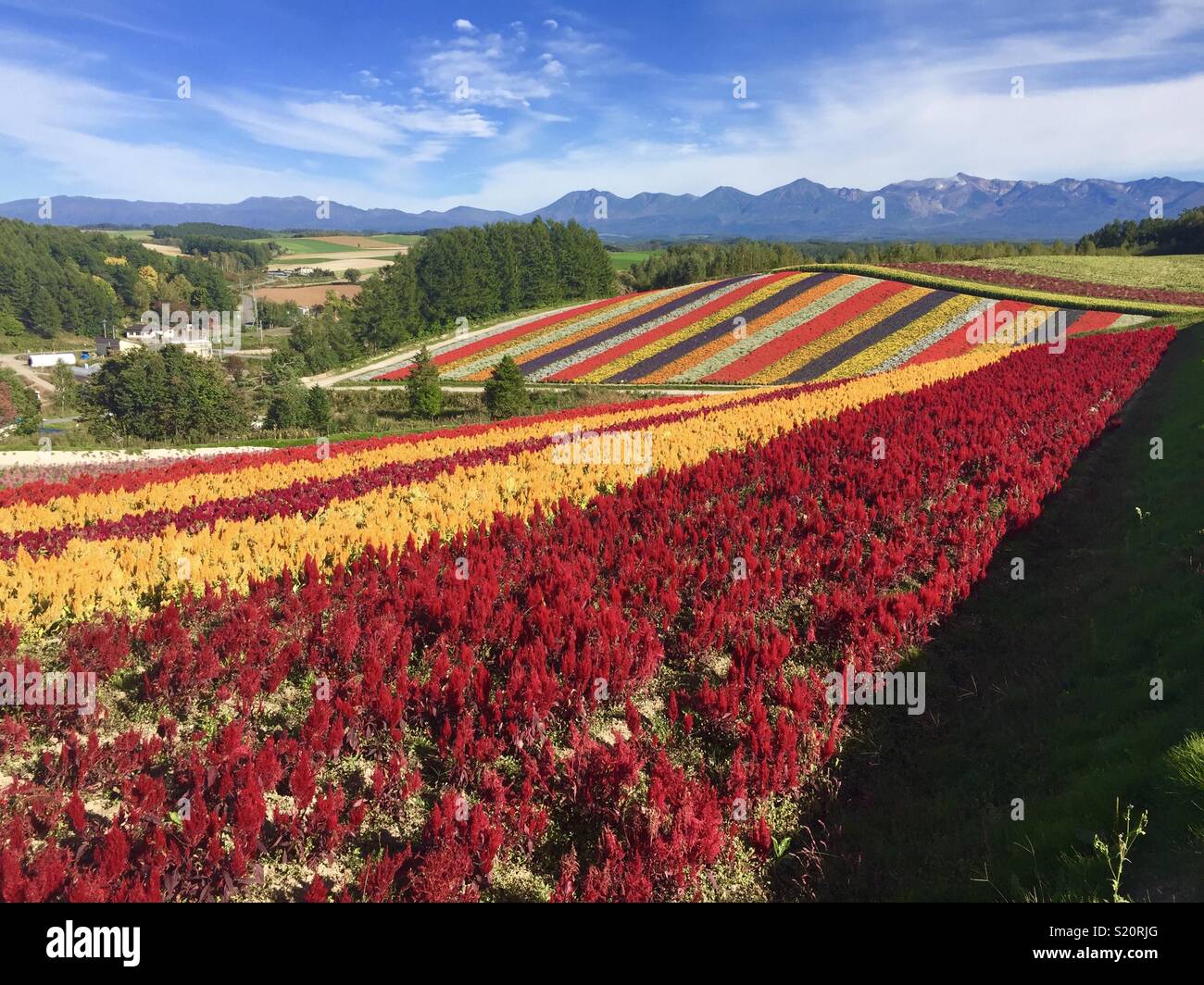 Furano japan hi-res stock photography and images - Alamy