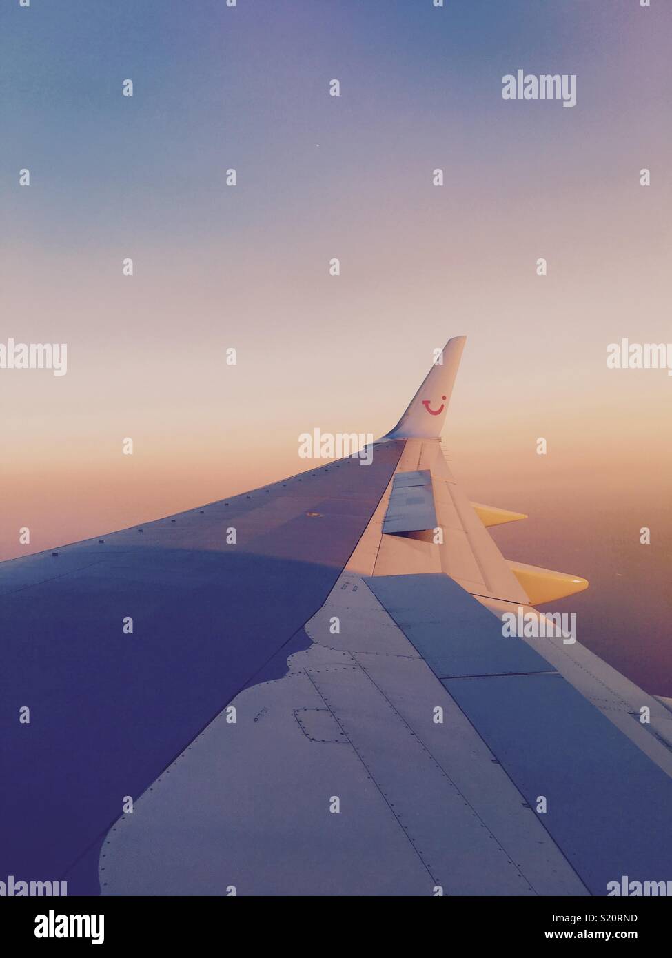 Tui wing hi-res stock photography and images - Alamy
