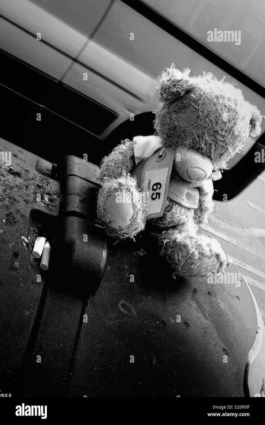 A sad looking teddy bear discarded on a rubbish bin and cigarette ...