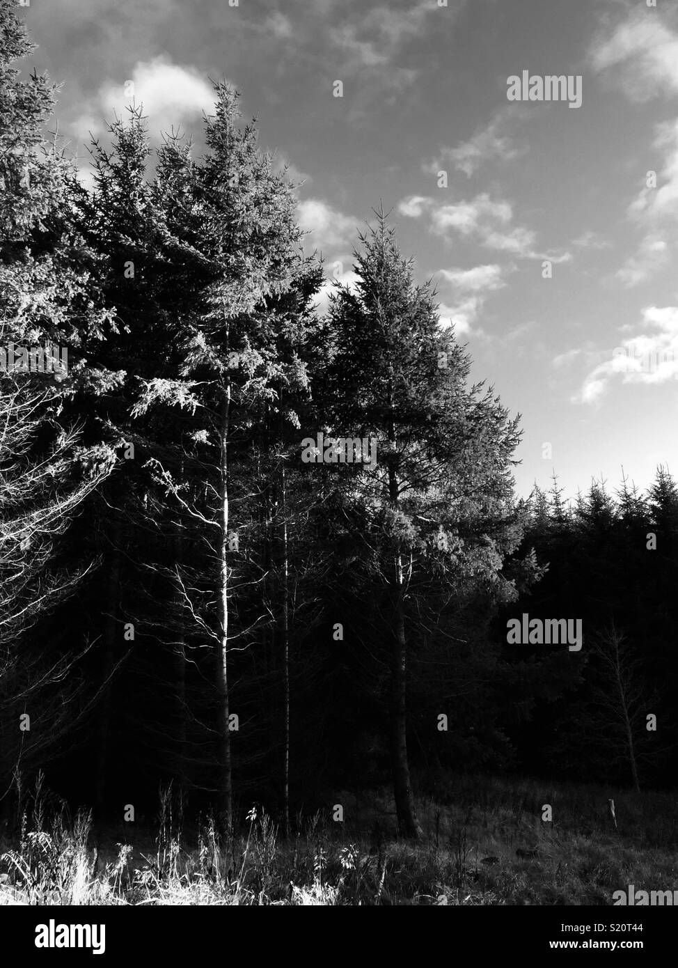 Fife Black and White Stock Photos & Images - Alamy