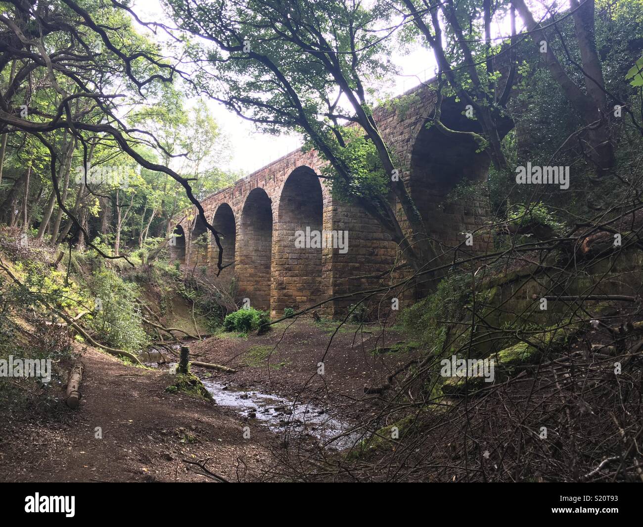 Disused viaduct hi-res stock photography and images - Alamy