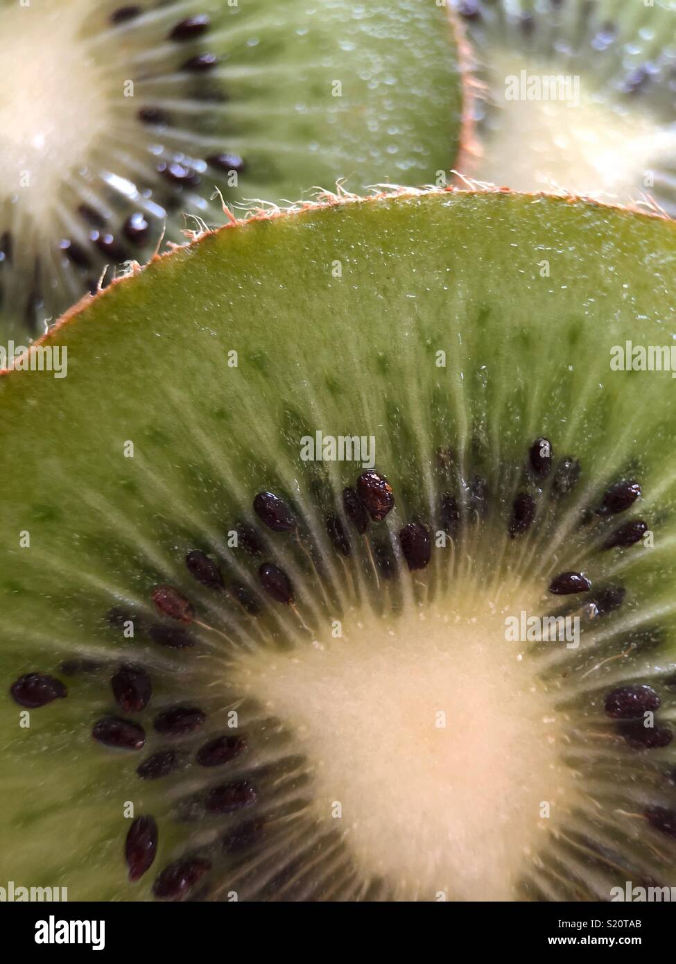 Closeup up close hi-res stock photography and images - Alamy