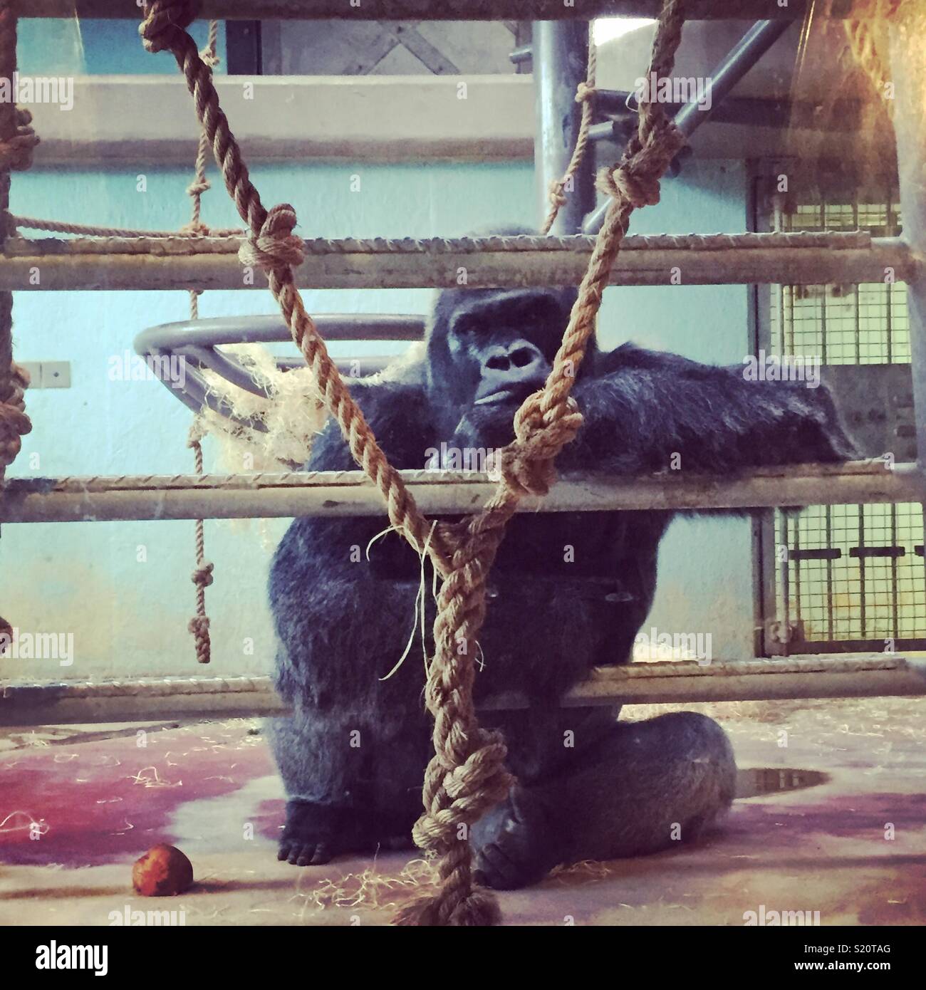 Tiring hi-res stock photography and images - Alamy