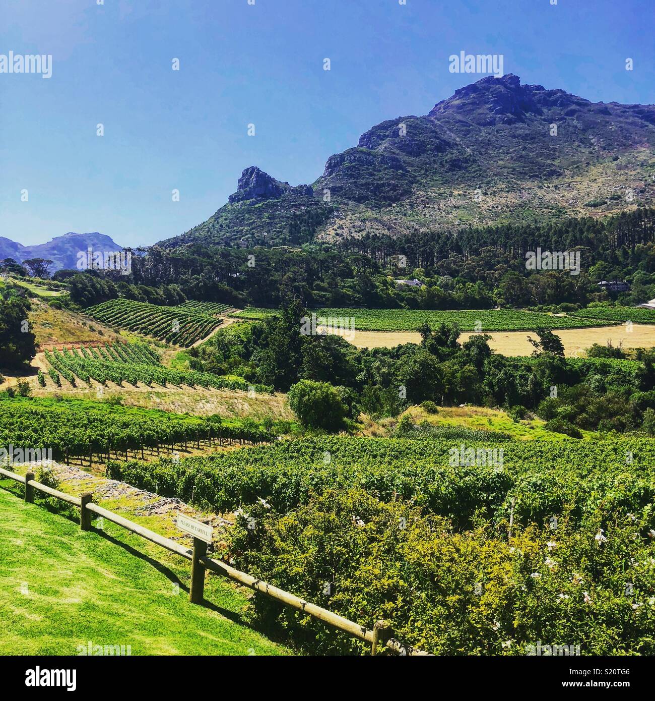 The wine farm hi-res stock photography and images - Alamy