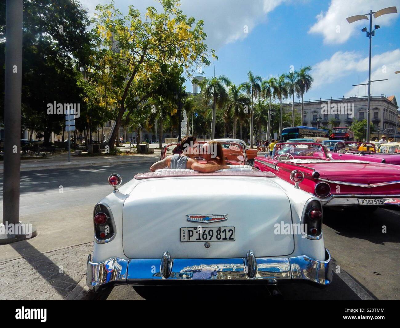 Old trees in havana hi-res stock photography and images - Alamy