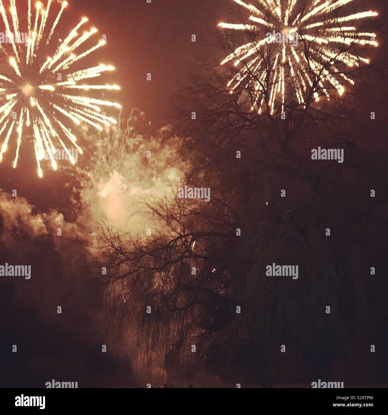 Tree silhouetted by fireworks Stock Photo - Alamy